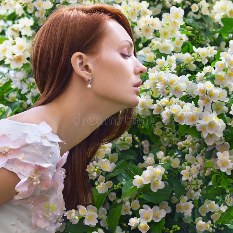 Bloom stock photo. Image of nature, profile, smelling - 115135718