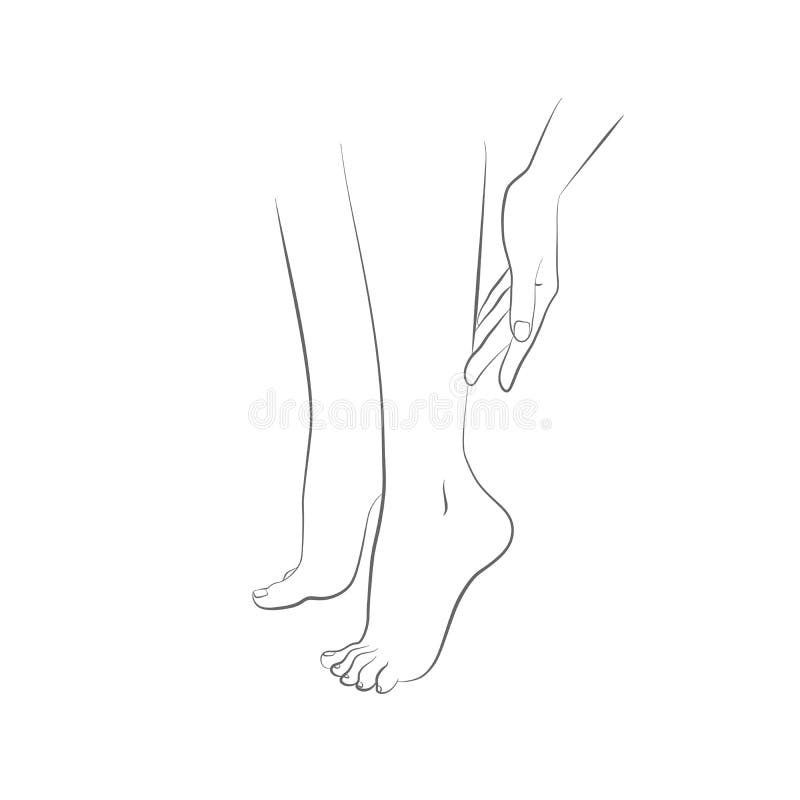 Beautiful Womans Female Legs and Hand Vector Stock Vector ...