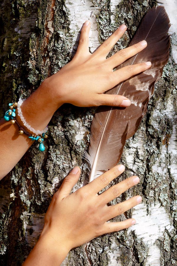 Beautiful Womans Hands with Eagle Feathers on Birch Crust. Stock Photo ...
