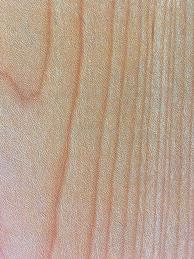 Beautiful wood pattern. stock image. Image of wood, beauty - 135798061