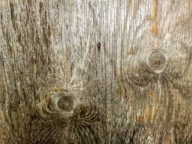 Beautiful Wood Pattern Texture Stock Image - Image of primary, chaff ...