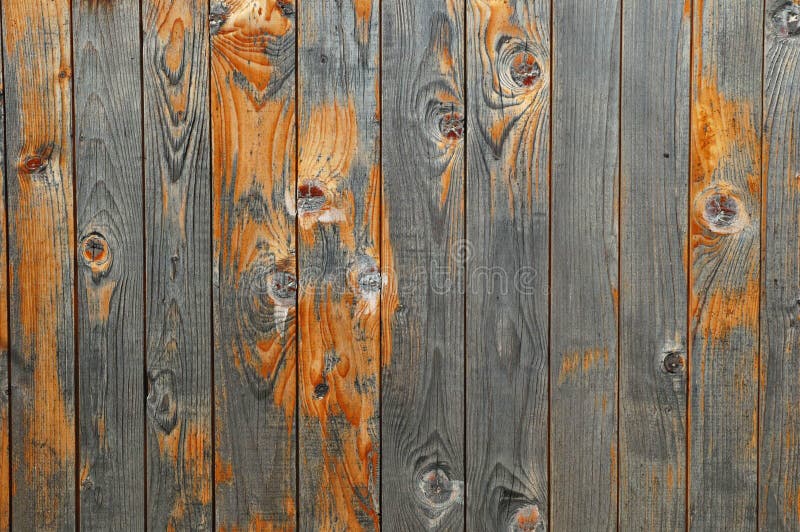 Beautiful Wood Texture Picture. Image: 5008282