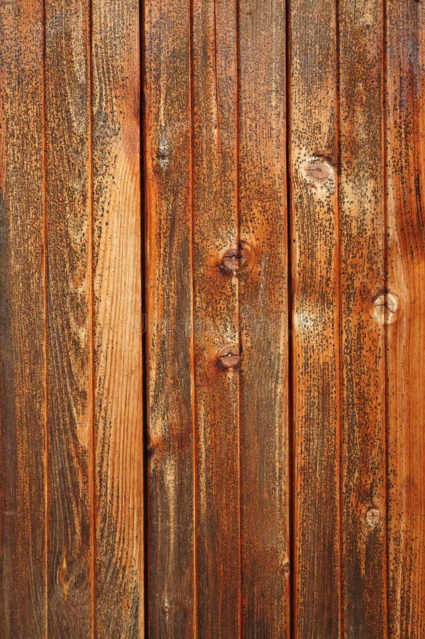 Beautiful wood texture stock photo. Image of board, abstract - 5032962