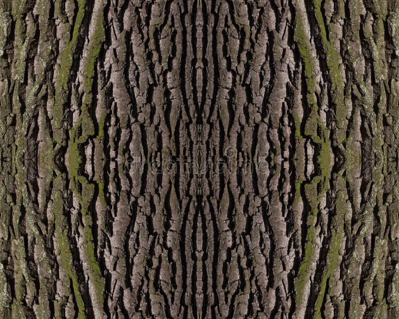 Beautiful Wood Texture Background Stock Photo - Image of equipment ...