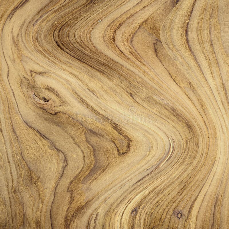 Beautiful Wood Texture. Wood Design Or Pattern. Stock Illustration ...