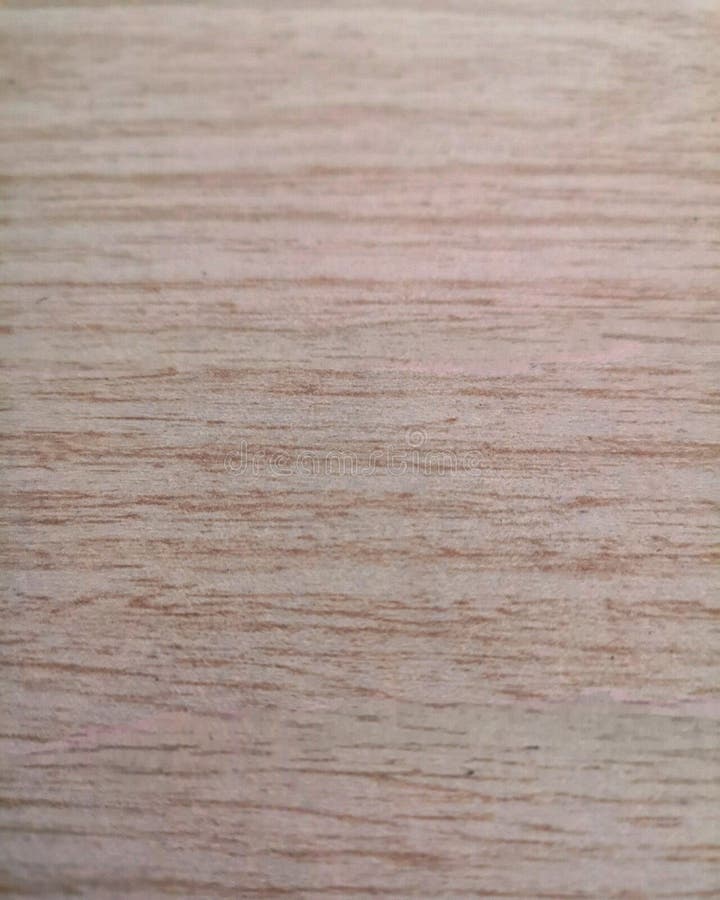 Beautiful wood texture stock photo. Image of texture - 211554700