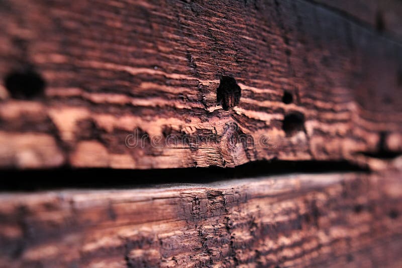 Beautiful Wood Texture Side View Stock Image - Image of vintage, view ...