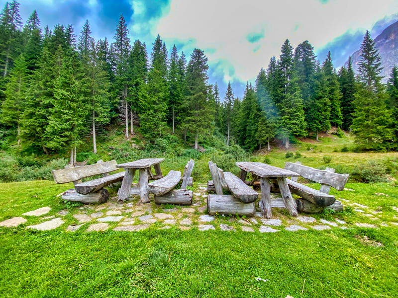 Beautiful Wooden Bench Along the Forest Stock Photo - Image of europe ...