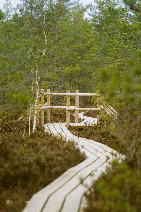 A Beautiful Wooden Footpath in a Marsh Stock Photo - Image of landscape ...