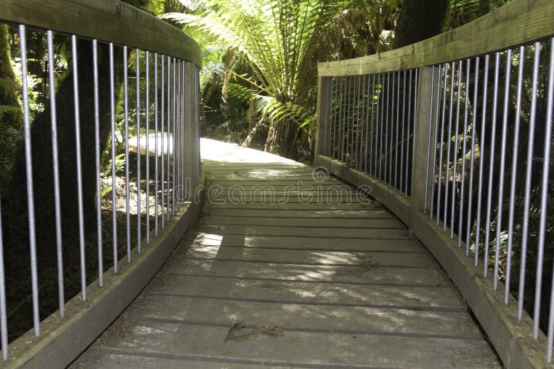 Beautiful Wooden Path in the Forest Nice Stock Image - Image of grass ...