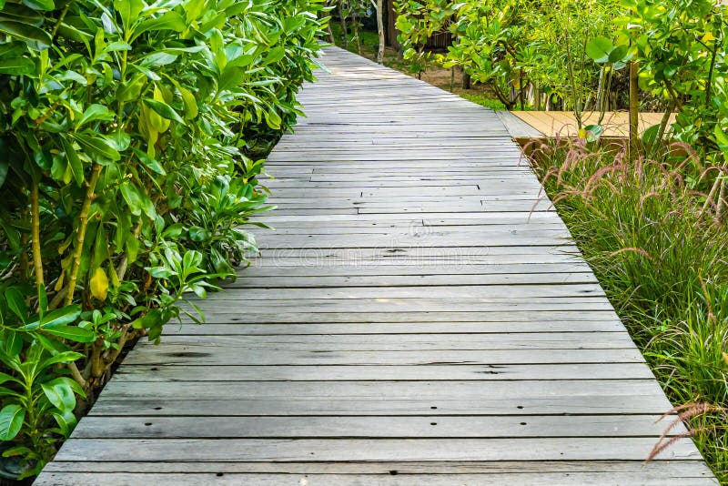 Beautiful Wooden Path Walk in the Garden Stock Image - Image of wooden ...