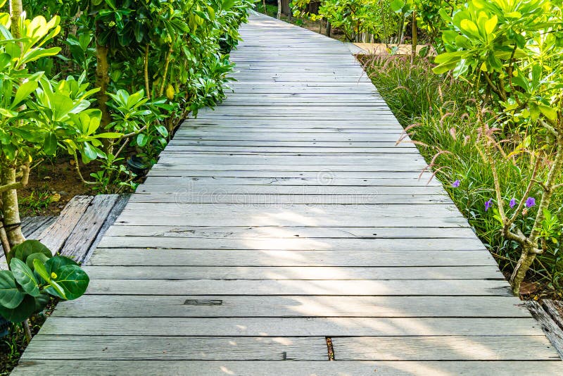 Beautiful Wooden Path Walk in the Garden Stock Image - Image of wooden ...