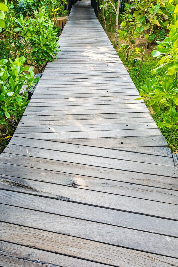 Beautiful Wooden Path Walk in the Garden Stock Image - Image of wooden ...