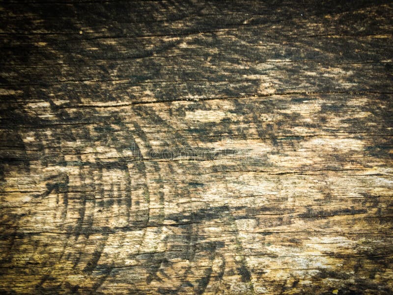 Beautiful Wooden Pattern Background for Work and Design Stock Photo ...