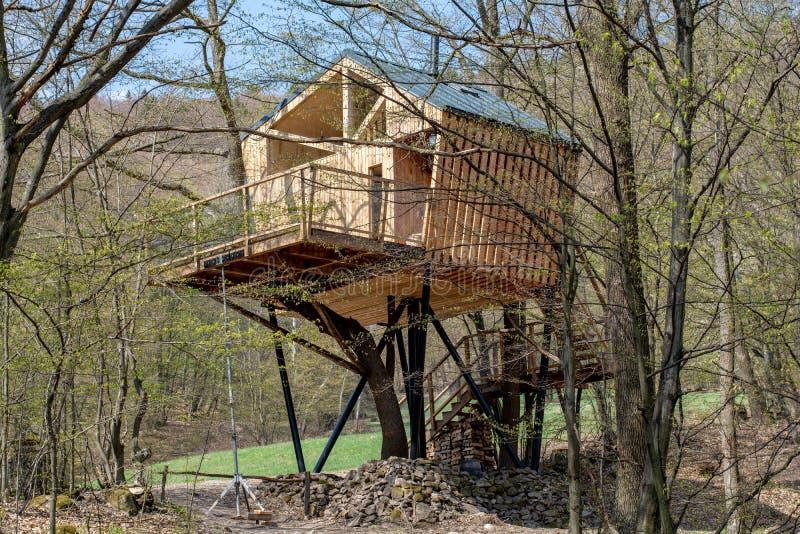 Beautiful Wooden Treehouse Built in a Park Stock Photo - Image of ...