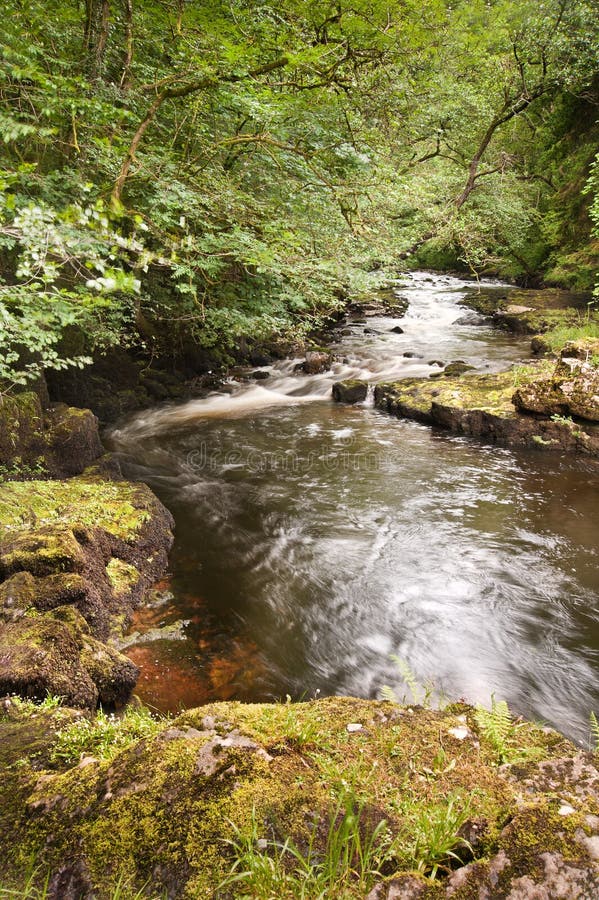 Beautiful Woodland Stream and Waterfall in Summer Stock Photo - Image ...