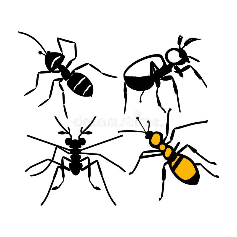 Beautiful Worker Ants Vector Line Art Stock Vector - Illustration of ...