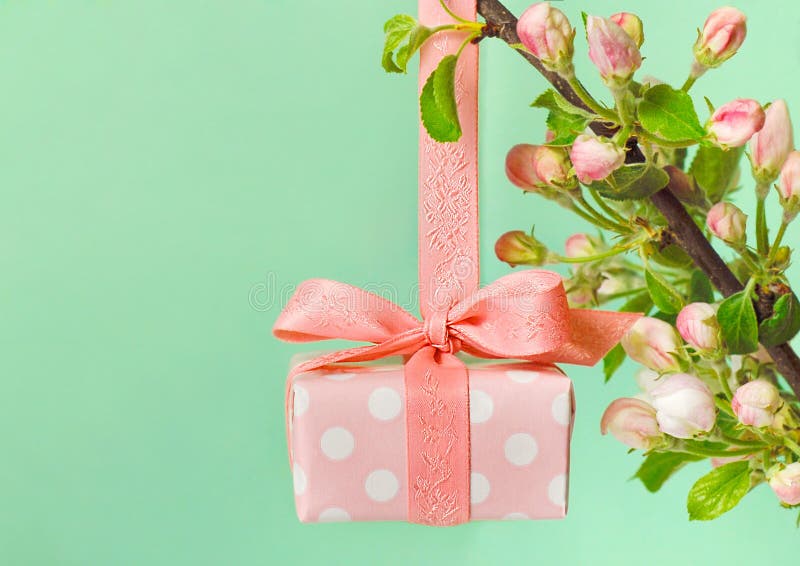 Beautiful Wrapped Gift Box with Spring Apple Blossoms Stock Image ...