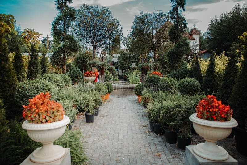Beautiful Yard with Lush Greenery Stock Photo - Image of gardens, neat ...