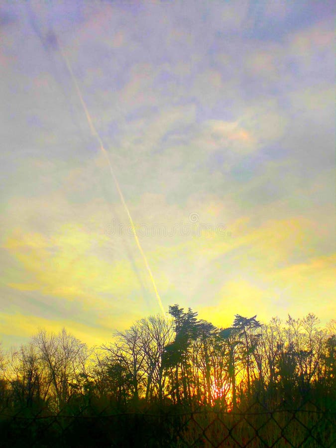 Beautiful Yellow Day Sunset Trees Nice Stock Image - Image of beautiful ...