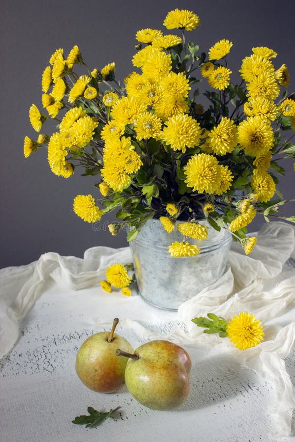 Yellow Mums stock image. Image of flowers, nature, gift - 66094139