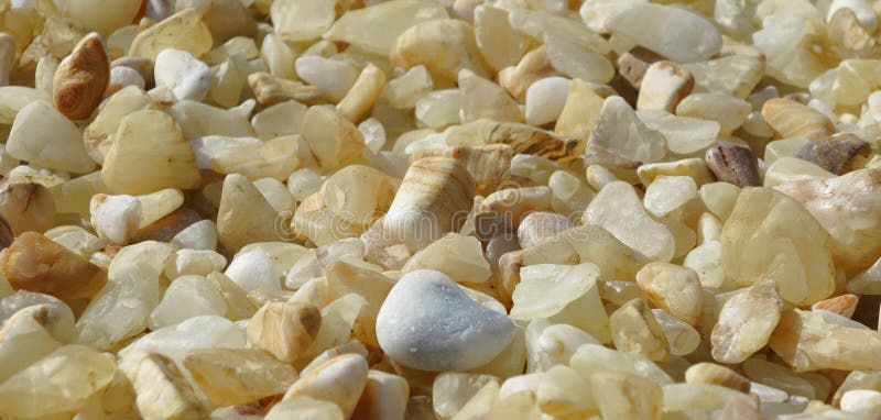 Beautiful yellow pebbles stock photo. Image of garden - 33488056