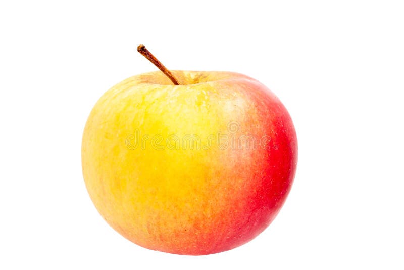 Beautiful Yellow with Red Apple Isolated on White Background Stock ...