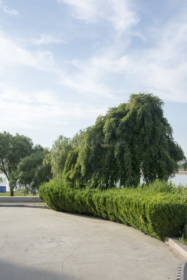 The Yellow River scenery stock image. Image of nature - 228537035