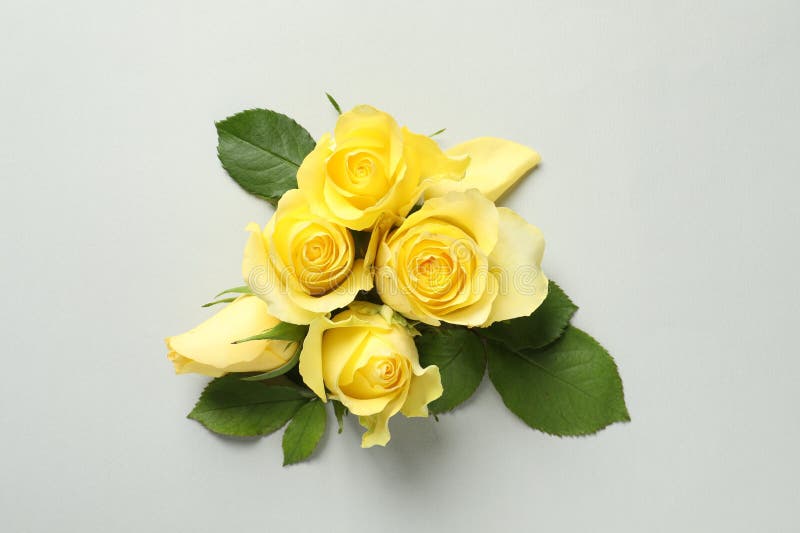 Beautiful Yellow Roses on Light Grey Background, Flat Lay Stock Image ...