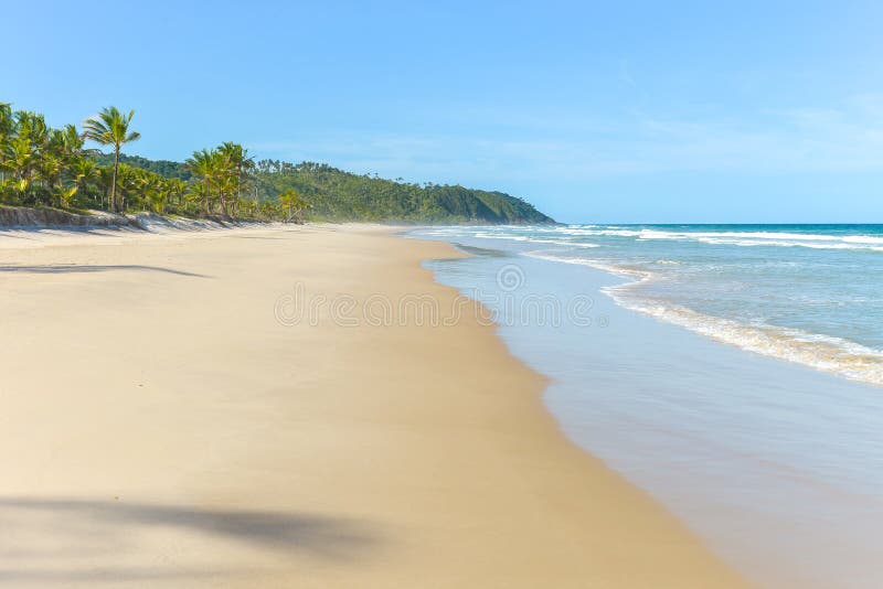 Beautiful Yellow Sand Beach with Palm Trees Stock Image - Image of ...