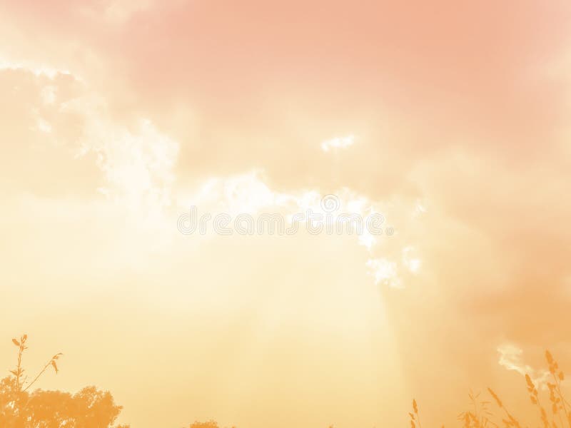 Beautiful Yellow Sky stock photo. Image of high, scene - 191293024
