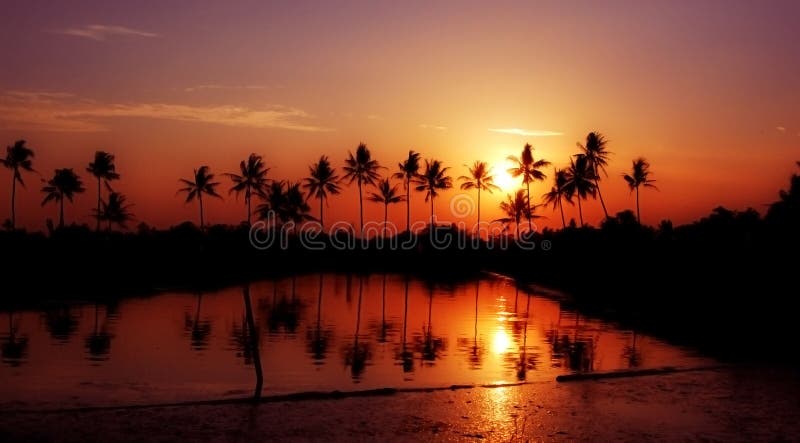 The Beautiful Yellow Sunset Stock Photo - Image of yogyakarta ...