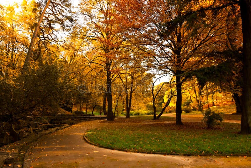 Beautiful Yellowed Trees and Pathway in Park Stock Image - Image of ...