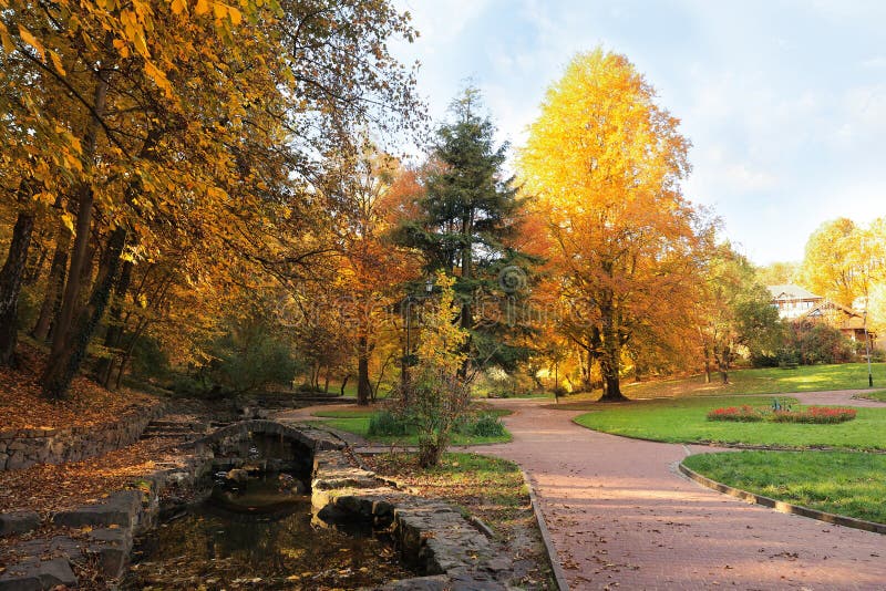 Beautiful Yellowed Trees and River in Park Stock Photo - Image of ...