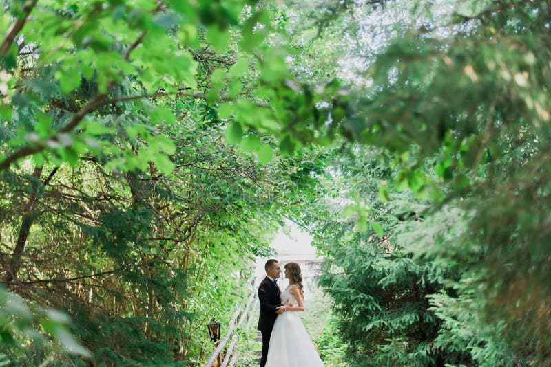 Beautiful Young Married Couple Standing Embracing in the Forest Stock ...