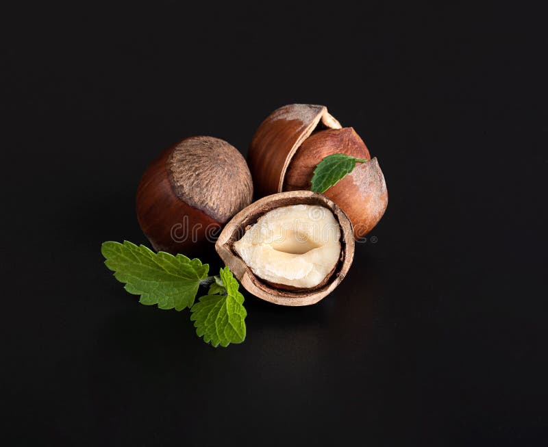 Young Split and Whole Hazelnut with Fresh Young Mint Leaves Close-up on ...