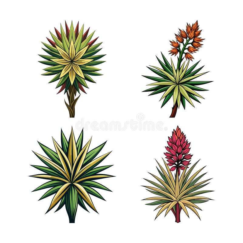 Beautiful Yucca Flower with Unique Design Stock Vector - Illustration ...