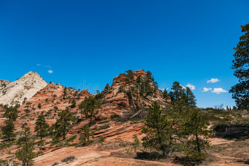 Beautiful Zion Park Rock and Trees Landscape - Image Stock Image ...