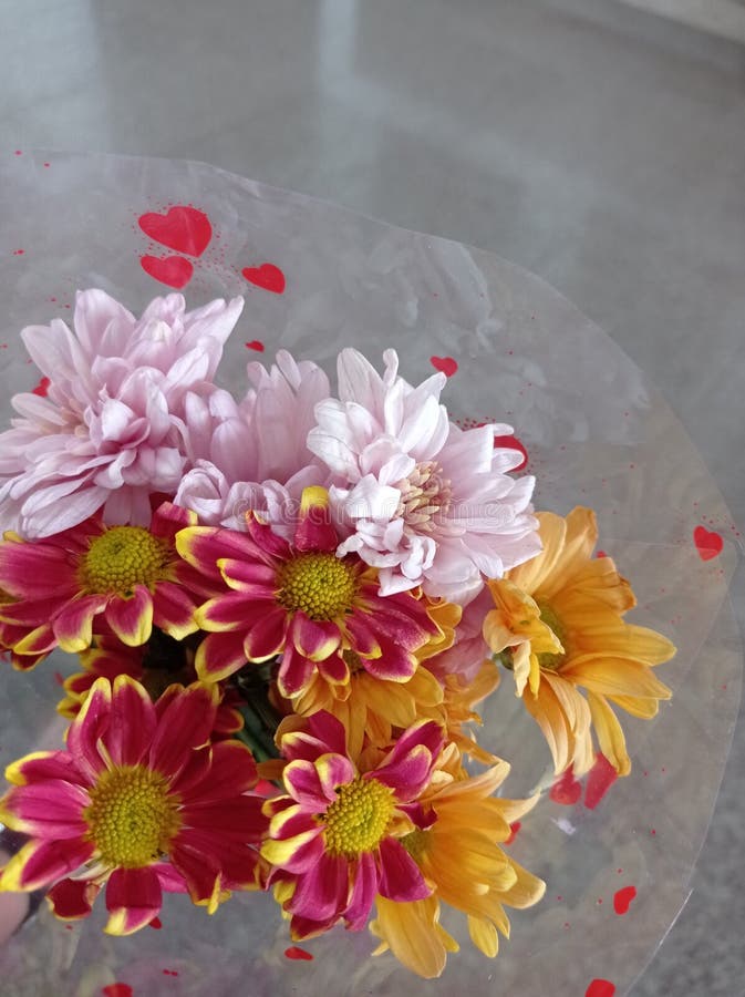 Freshf Stock Photos - Free & Royalty-Free Stock Photos from Dreamstime