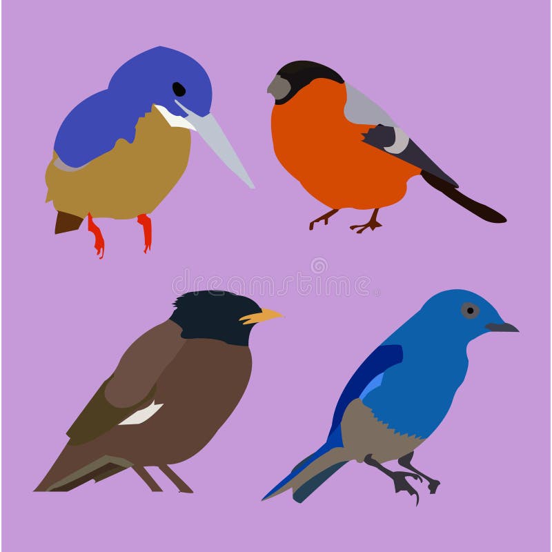 Beautifull Birds Vector Avatar Art Stock Vector - Illustration of ...