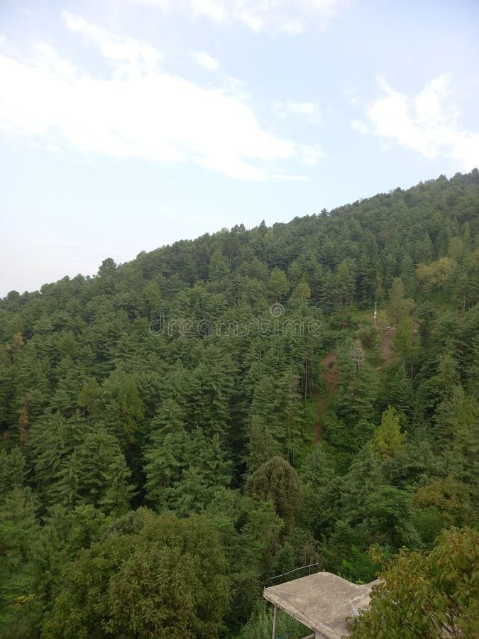 Aliot Murree Pakistan Stock Photos - Free & Royalty-Free Stock Photos ...