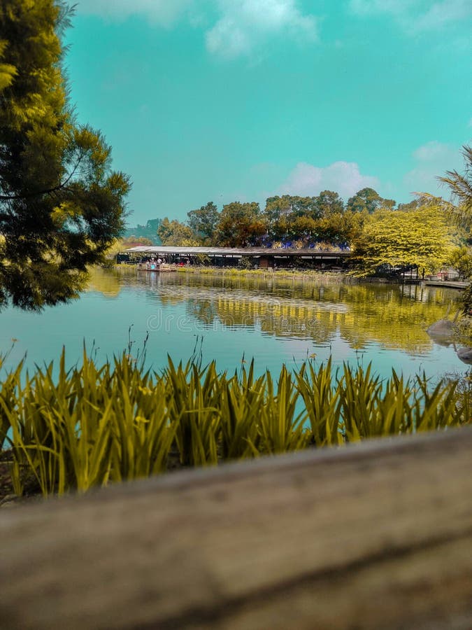 Beautifull Lakeside on the Side with Sunshine Stock Photo - Image of ...