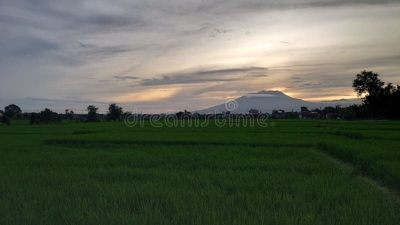 Beautifull morning sunrise stock image. Image of rice - 267373141