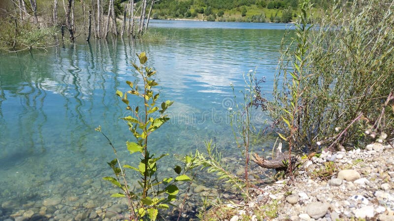 Beautifull Nature stock photo. Image of clear, wonderdull - 79181476