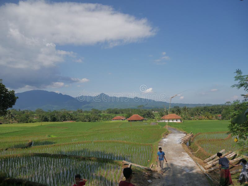 Beautifull Panorama in the Indonesian Village at West Java. Editorial ...