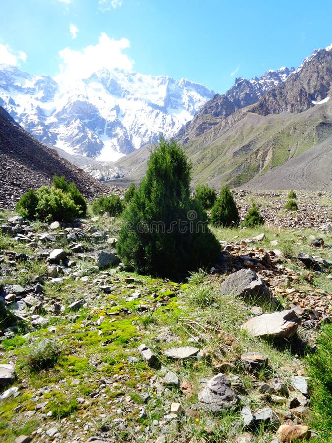 Booni Gol Stock Photos - Free & Royalty-Free Stock Photos from Dreamstime