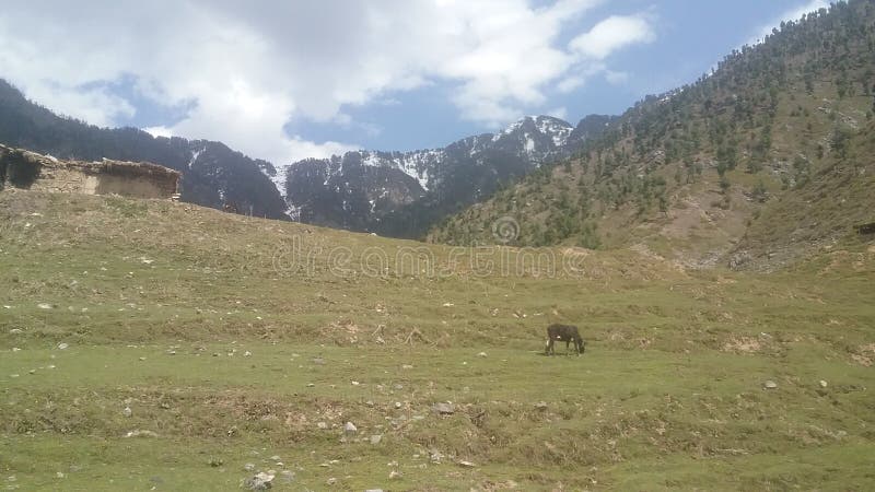 Beautifull Place in Pakistan Upper Dir Stock Image - Image of upper ...