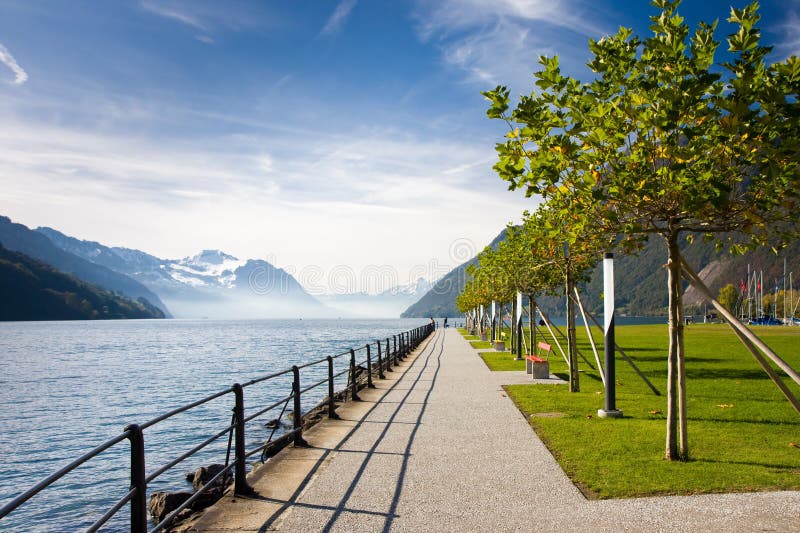 Beautifull Promenade on Lucerne Lake Stock Photo - Image of cranes ...