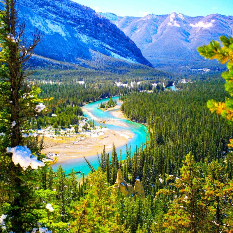 Beautifull River and Green Forest of Banff National Park Stock Photo ...