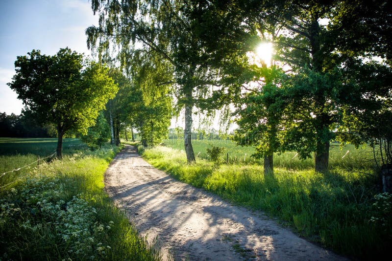 Beautifull rural road stock photo. Image of heaven, grass - 44294086